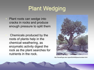 Weathering1111111111111111111111111111111111111111.ppt