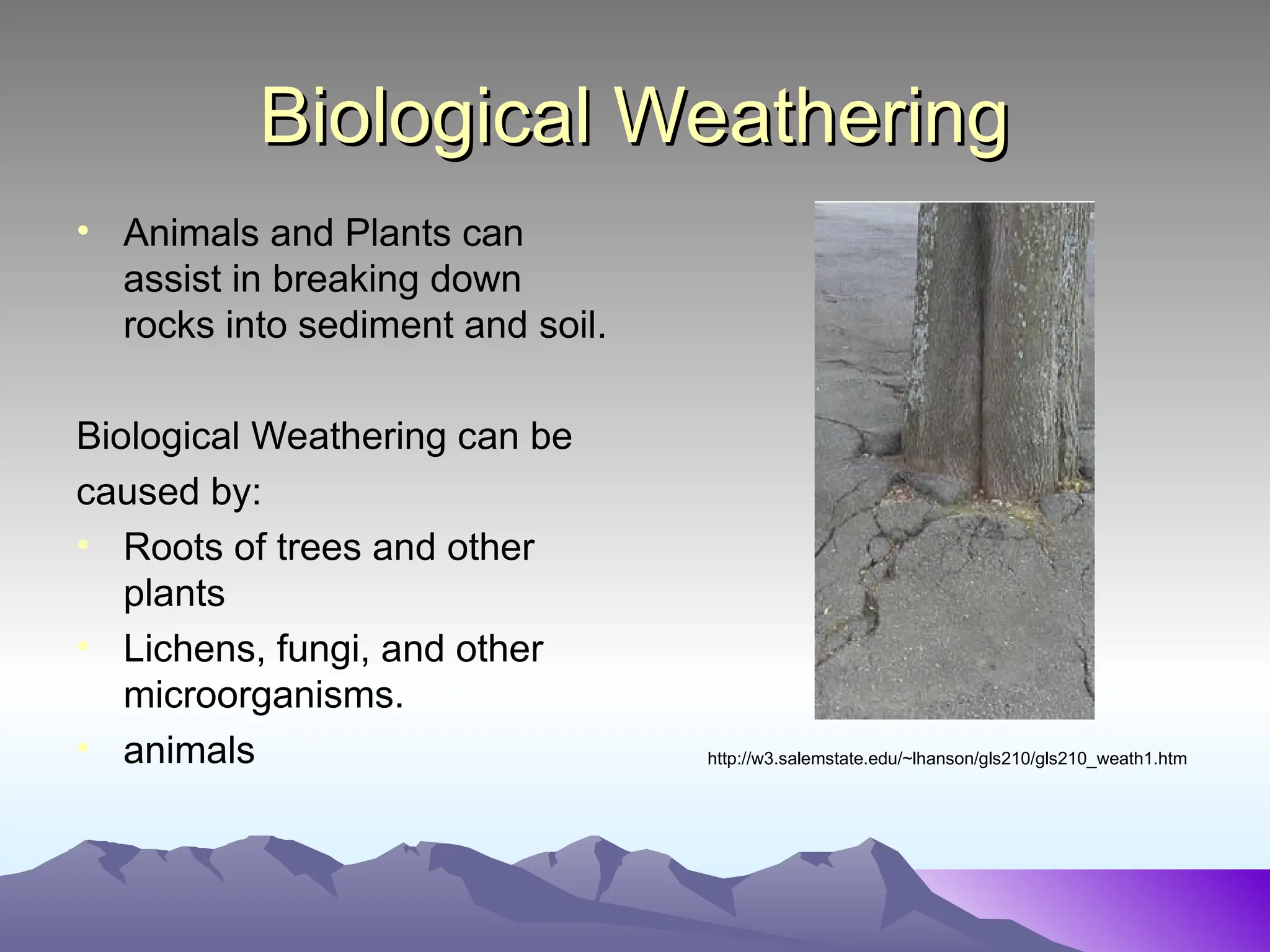Weathering PowerPoint Presentation for Science Students | PPT