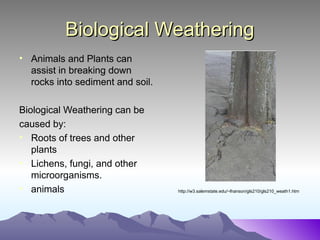 Weathering PowerPoint Presentation for Science Students | PPT