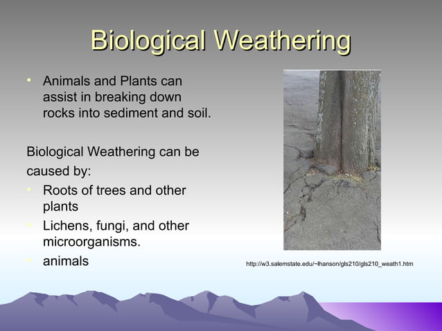Weathering PowerPoint Presentation for Science Students | PPT | Science