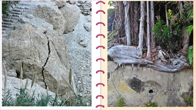 Weathering.science.grade 11.life and earth.pptx