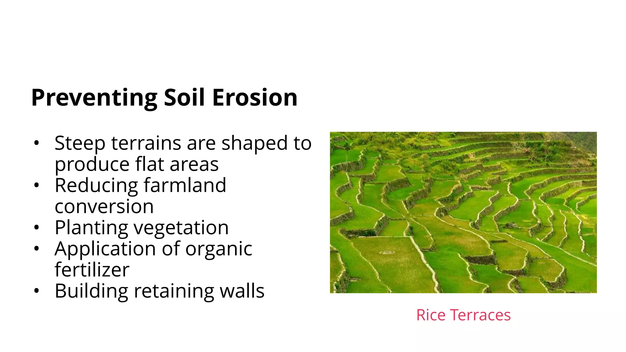 WEATHERING-EROSION-MASS-WASTING-SEDIMENTATION.pptx | Geology | Science