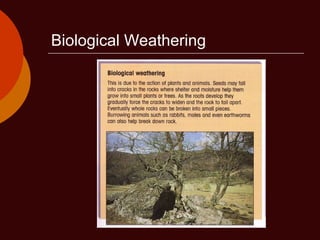 Weathering and erosion | PPT