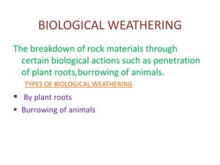 Weathering and erosion | PPT