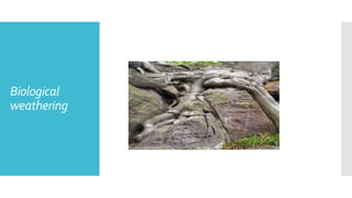 Weathering and erosion | PPTX