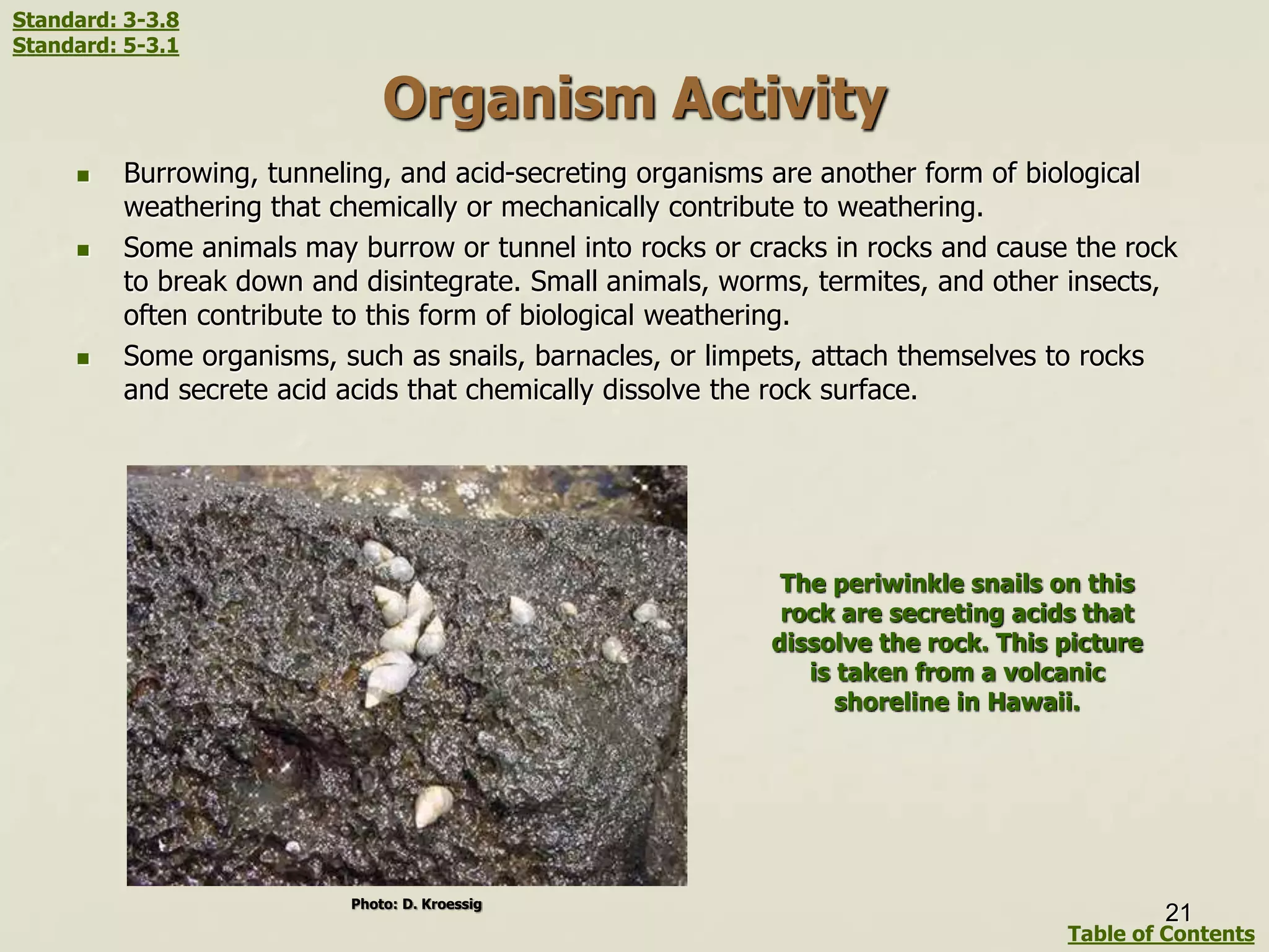 Weathering and Erosion.ppt