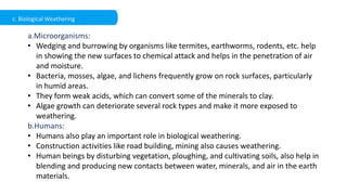 Weathering and its agents | PPTX