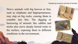 lessons in Weathering of Grade five.pptx