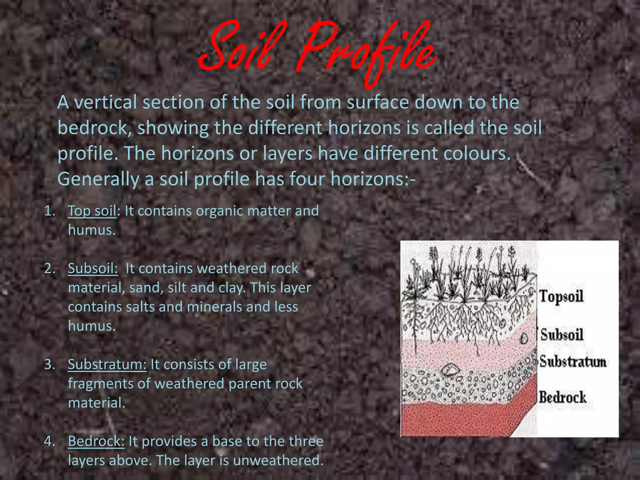 Weathering and Soil Formation Class 7 | PPTX