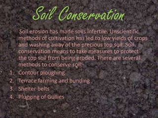 Weathering and Soil Formation Class 7 | PPTX