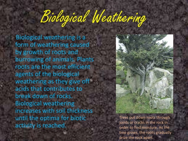 Weathering and Soil Formation Class 7 | PPTX | Geology | Science