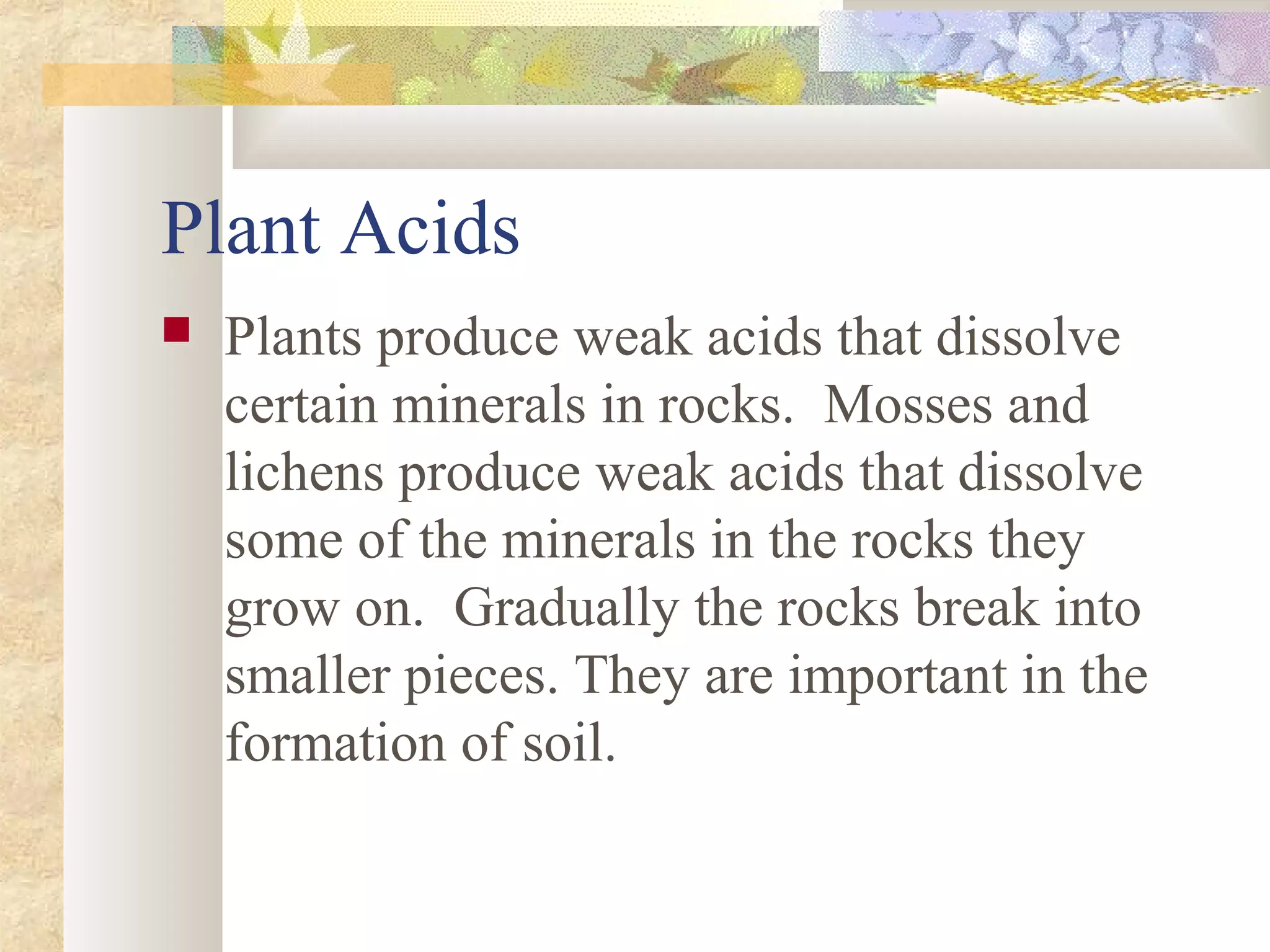 Weathering and soil formation | PPT