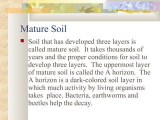 Weathering and soil formation | PPT
