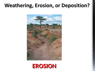 Weathering, Erosion, and Deposition.ppt..ppt