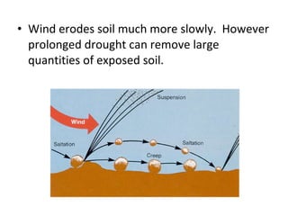 Wind Erosion Diagram For Kids