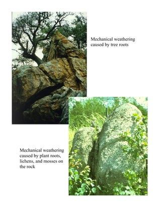 Weathering erosion pictures | PDF