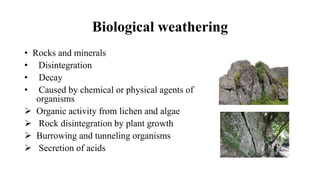 Weathering es taskeen ruubab 28145 1 (1) | PPTX