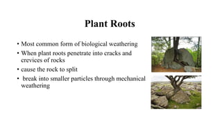 Weathering es taskeen ruubab 28145 1 (1) | PPTX