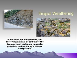 Weathering Lecture about the types and factors of weathering | PPTX