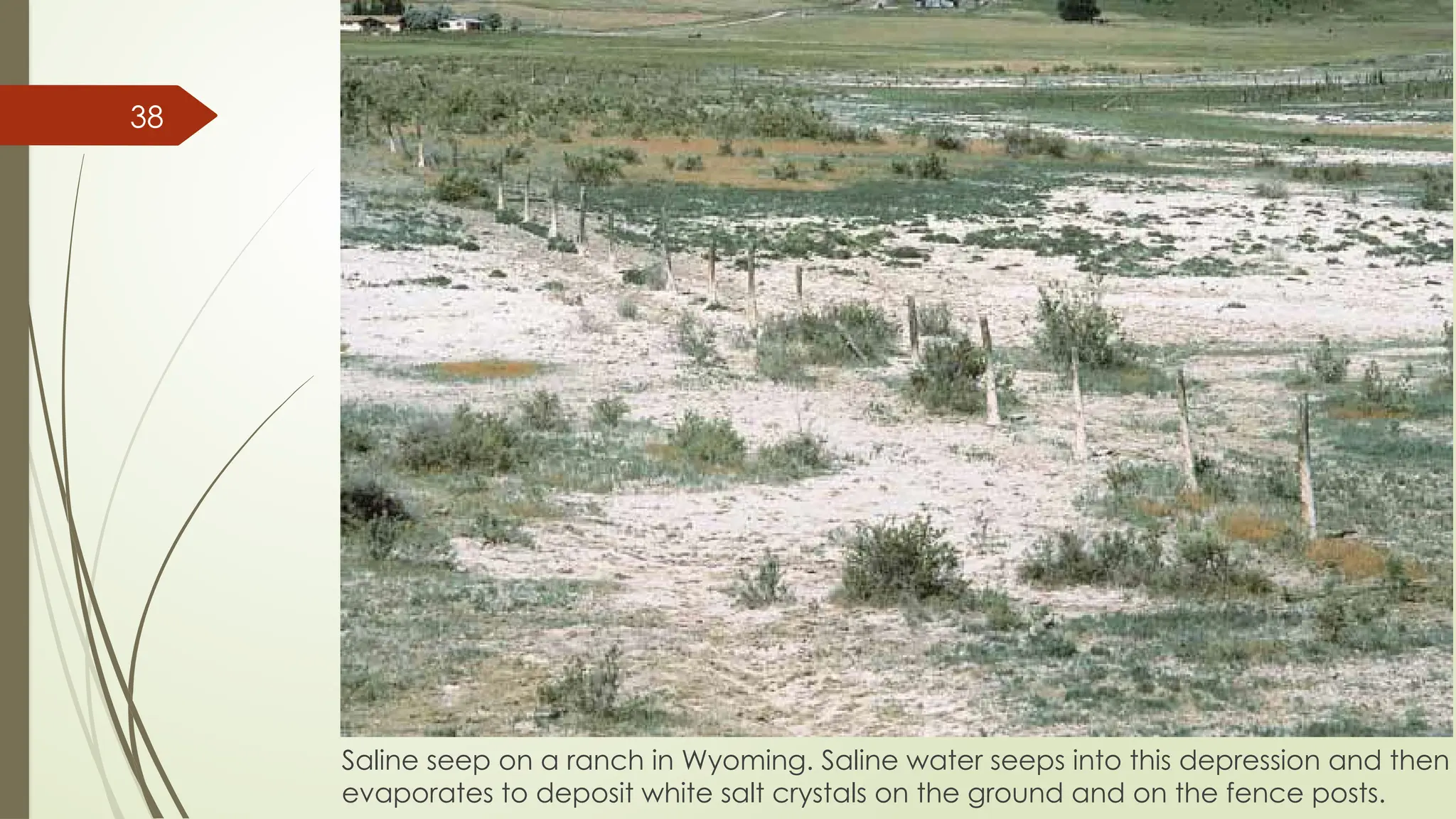 Weathering__MSc_Geography_For_Geography _Students.pptx
