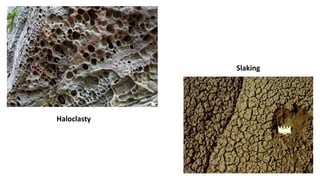 Weathering of Rocks.pptx