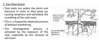 Weathering of Rocks.pptx