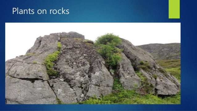 Weathering of rocks and minerals