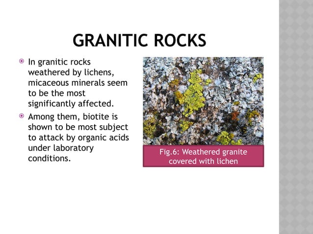 Different weathering mechanism of rocks by lichen | PPT