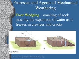 Weathering and Erosion | PPT | Gardening | Home & Garden