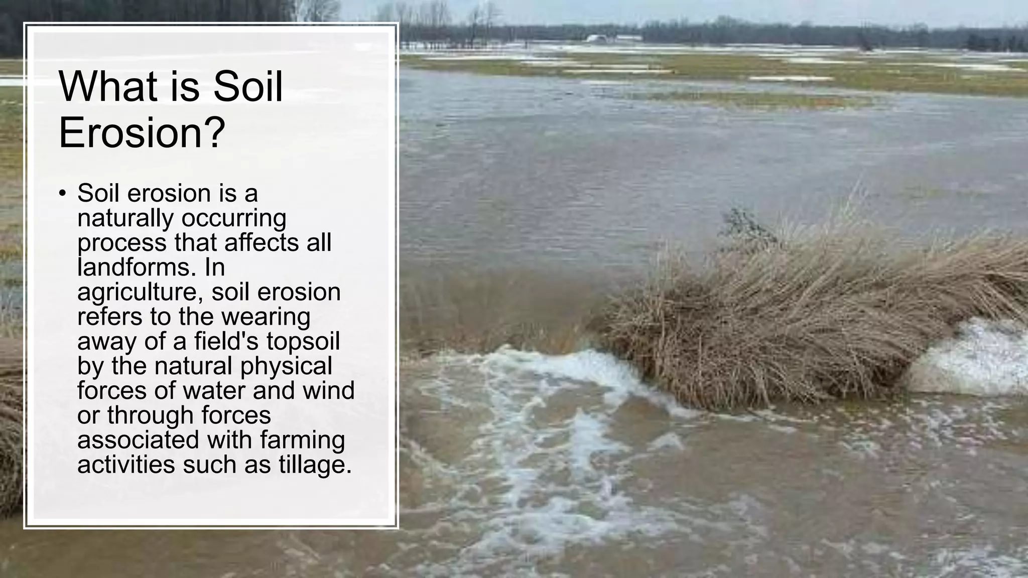 Weathering and Soil Erosion | PPT