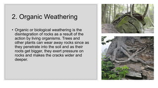 Weathering and Soil Erosion | PPTX