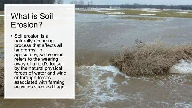 Weathering and Soil Erosion | PPTX | Geology | Science