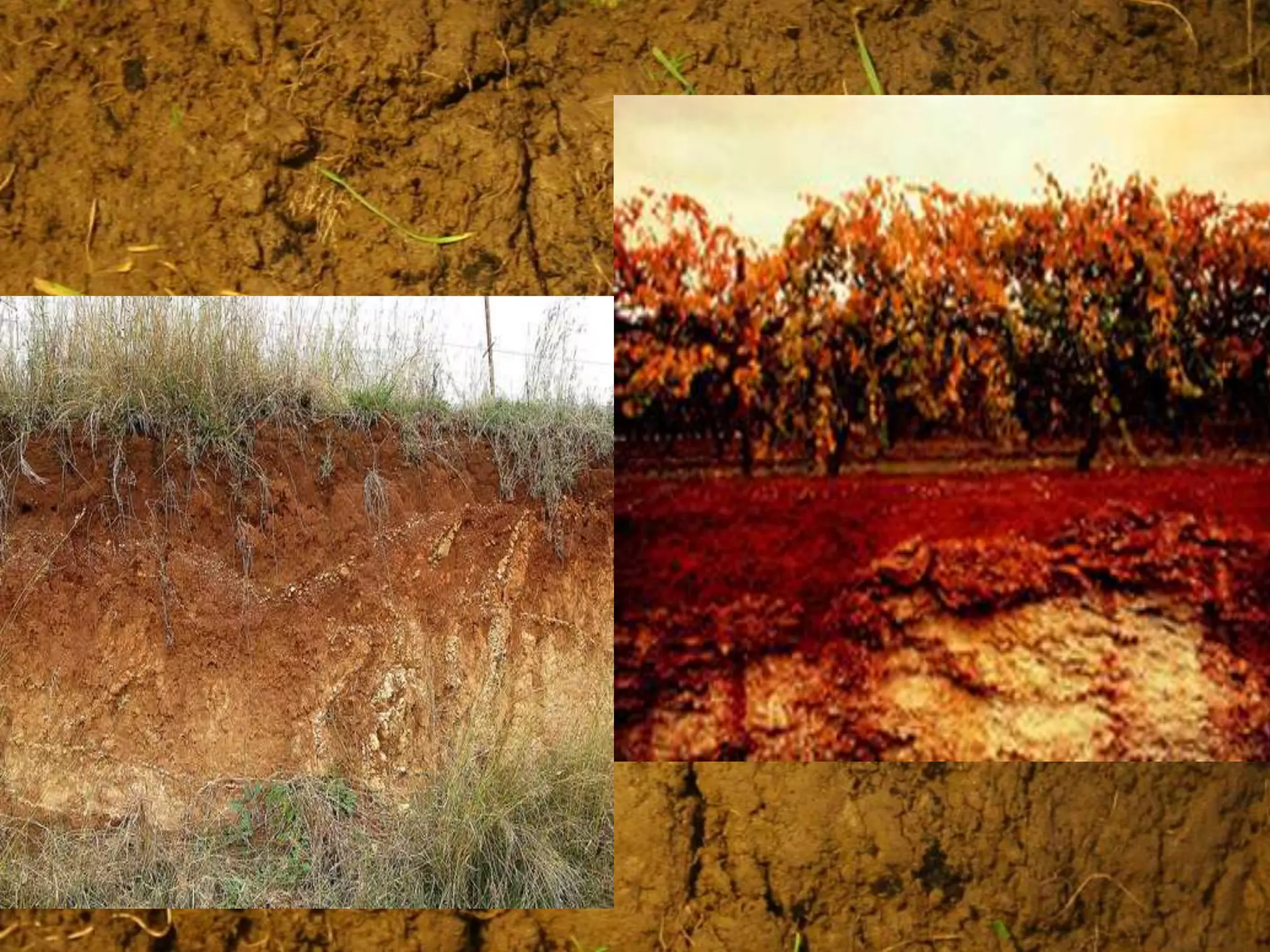 Weathering, soils, & erosion | PPTX