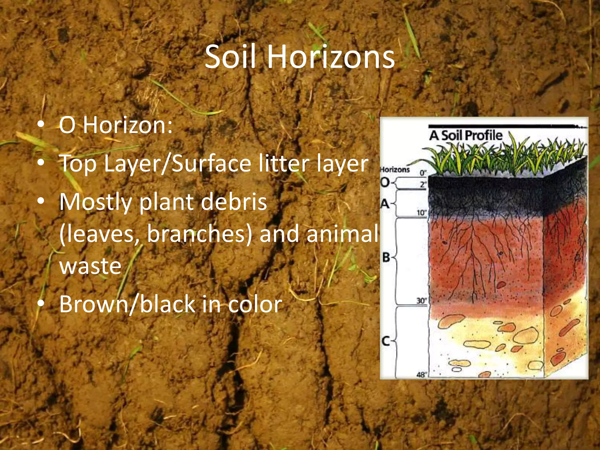 Weathering, soils, & erosion | PPT