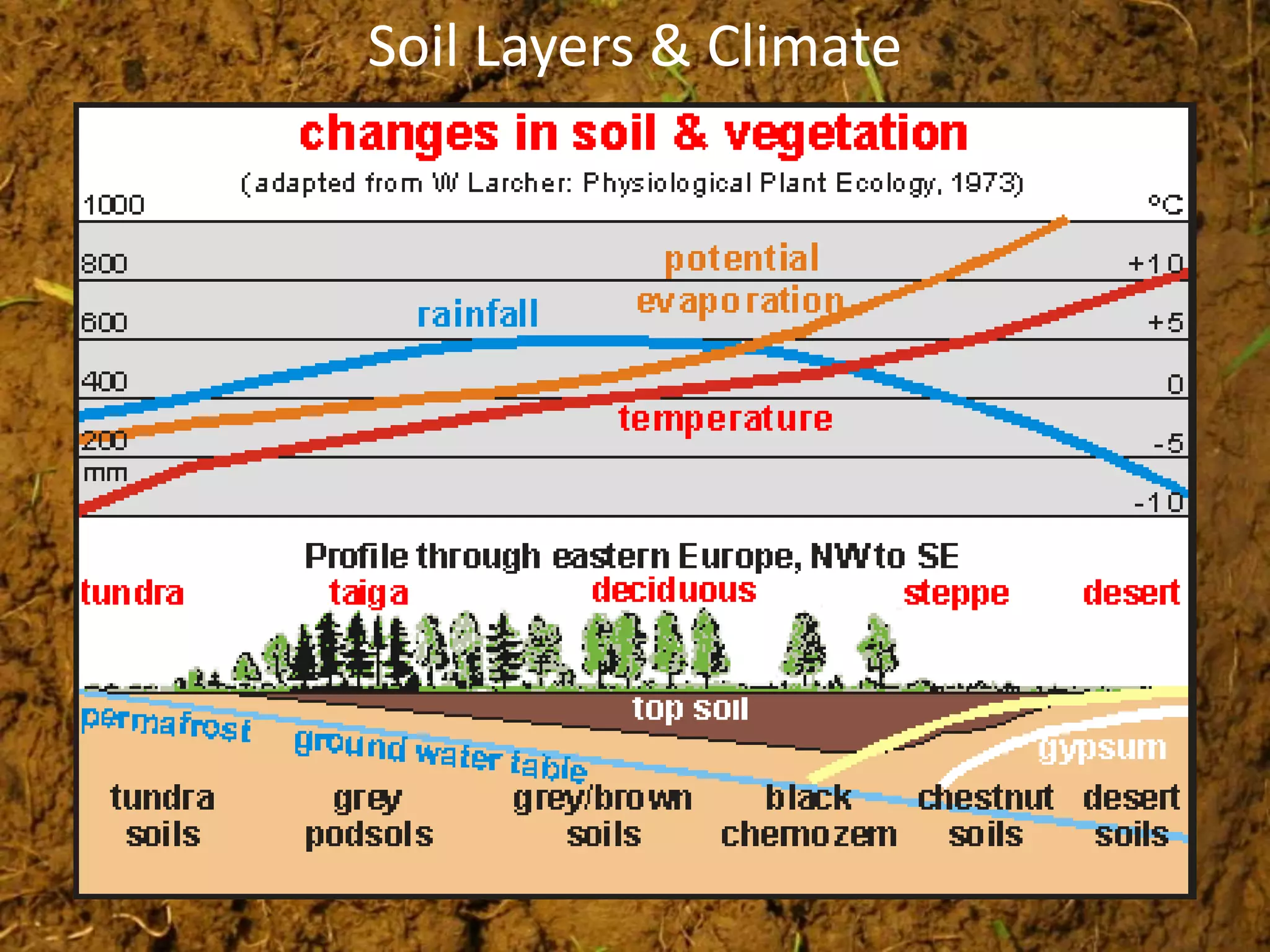 Weathering, soils, & erosion | PPT
