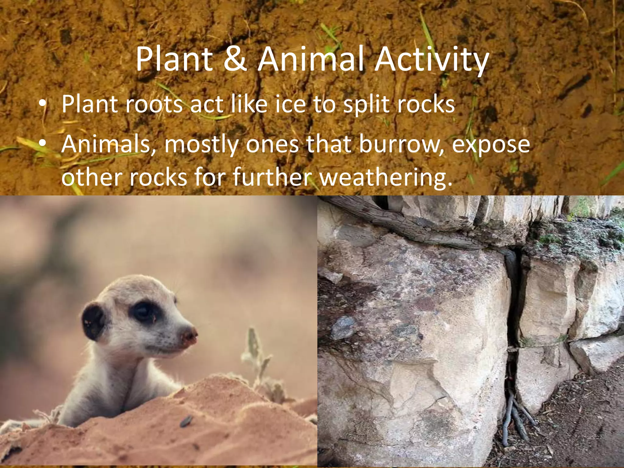 Weathering, soils, & erosion | PPTX