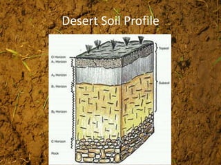 Desert Soil Layers