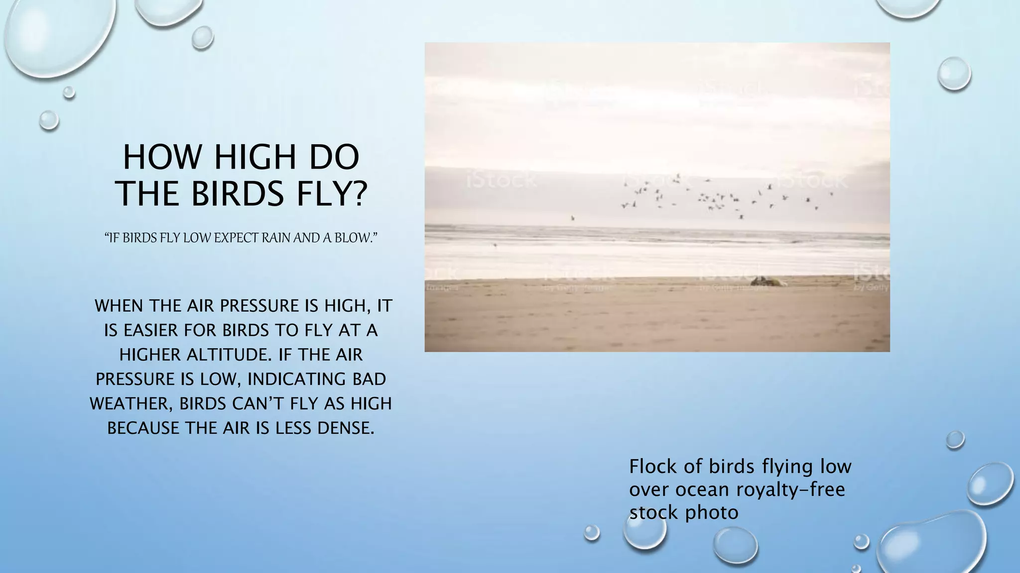 Weather lore sayings | PPT