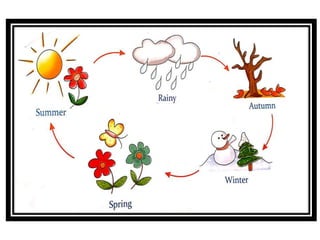Weather & Season | PPTX