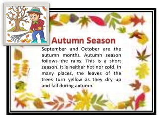 Weather & Season | PPTX