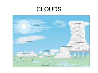 Weather slides | PPT