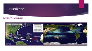 Caribbean Weather systems | PPTX