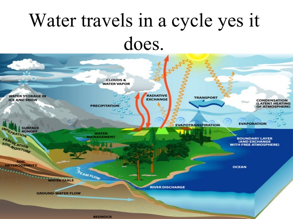 Weather- Water Cycle
