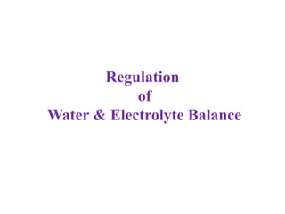 W&EB-01: Water & Electrolyte Balance | PPTX