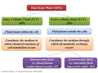 W&EB-01: Water & Electrolyte Balance | PPTX