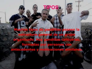 Pandillas juveniles | PPT