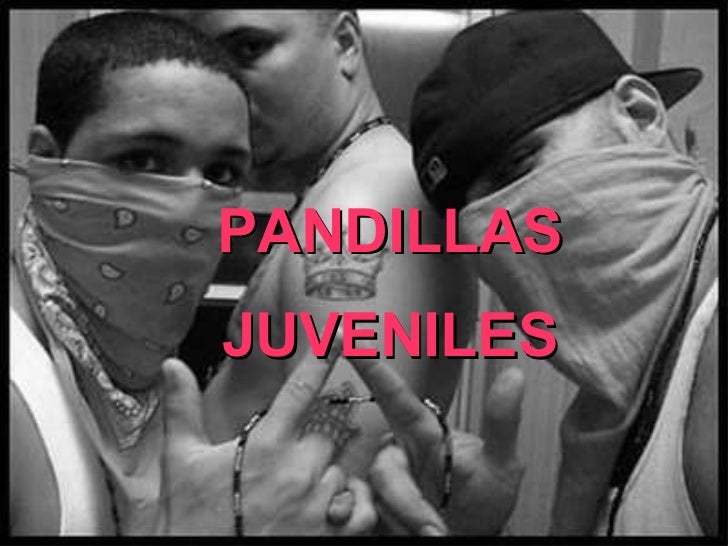 Caracteristicas De Una Pandilla Las Pandillas