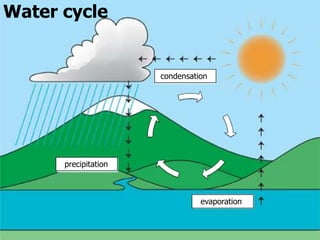 Water Cycle | PPTX