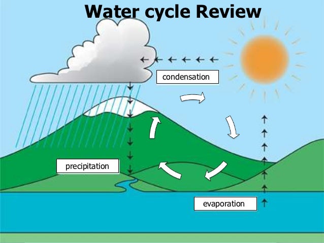 Water Cycle