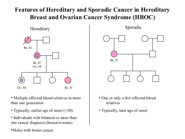 Web. hboc visual aids